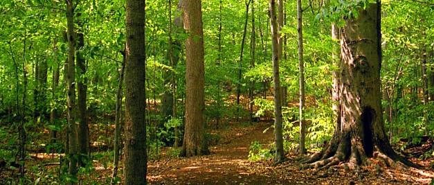 Sacred Ground - LDS Scripture Teachings